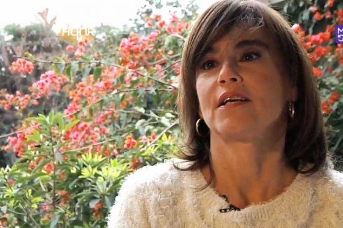 Pilar Cox protagoniza confuso accidente: terminó con herida ...