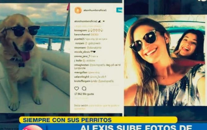 Perro de Alexis Sánchez usa los mismos lentes que Mayte Rodríguez ...