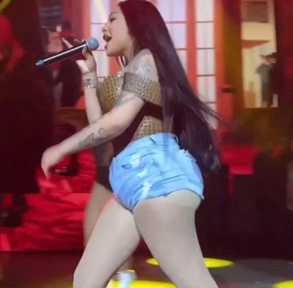 Cibernautas critican sin filtro el cuerpo de Yailín tras ser madre - Tecache.cl