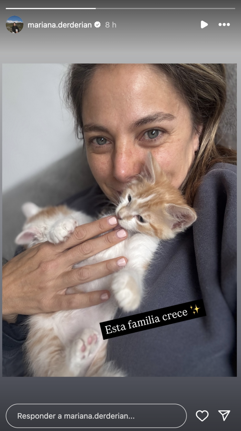 "Esta familia crece": Mariana Derderián entrega linda noticia en redes sociales - Tecache.cl